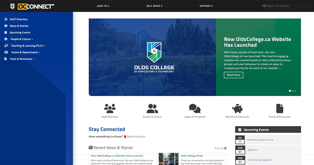 Josh Squire - Digital Marketing Professional